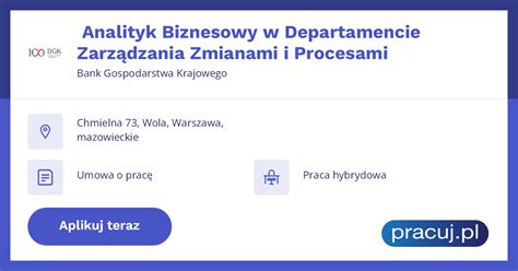 Oferta Pracy Analityk Biznesowy W Departamencie Zarządzania Zmianami I