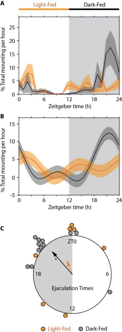 Mounting Behavior And Ejaculation Timing Normalized Mounting Behavior Download Scientific