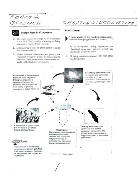 Science Form 2 Chapter 2 Ecosystem Pdf