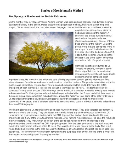 Copy Of Unit 1 Sci Method Murder Stories Of The Scientific Method The Mystery Of Murder And