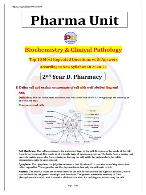 Biochemistry Top 10 Most Repititive Q And A Pdf Rna Citric Acid Cycle Biochemistry Top 10 Most Repititive Q And A Pdf Rna Citric Acid Cycle