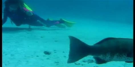 Free Scuba Porn Videos And Sex Movies Tnaflix