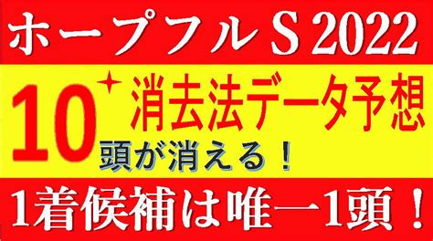 ホープフルステークス2022競馬予想｜今年最後のjra重賞で狙う一発逆転馬券 ｜ わがまま♪新馬券生活～ふくたんの競馬予想～