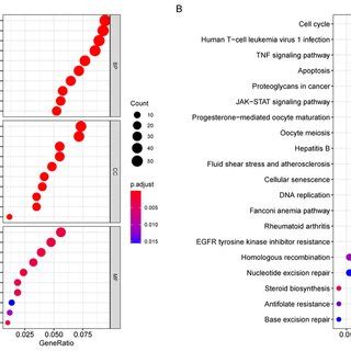 DEGs Protein Protein Interaction PIP Network Complex Analysis Modular