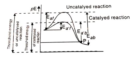 The Energy Profile Diagrams Are Very Important Tool Through Which