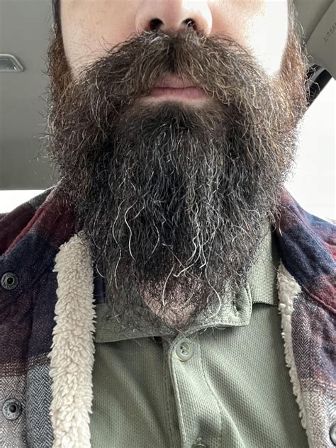 9 Months Of Growth Wife Wants “dwarf Wizard” Beard R Beards
