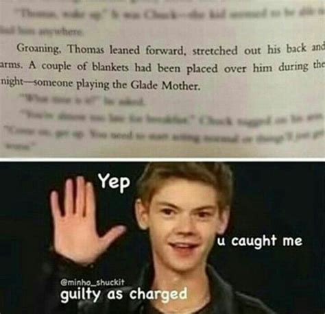 Maze Runner Funny Maze Runner Imagines Newt Maze Runner