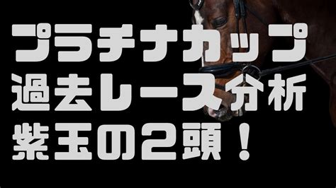プラチナカップ予想！過去レース分析法から好成績2頭推奨勝負レース！