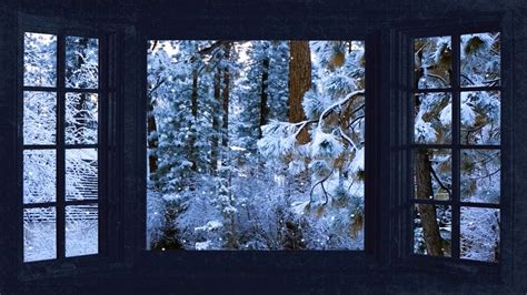 Frozen Window Frame 61 Photo