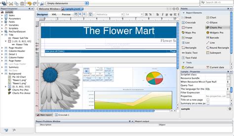 Jaspersoft Ireport And Jasperreports Real Time Connection