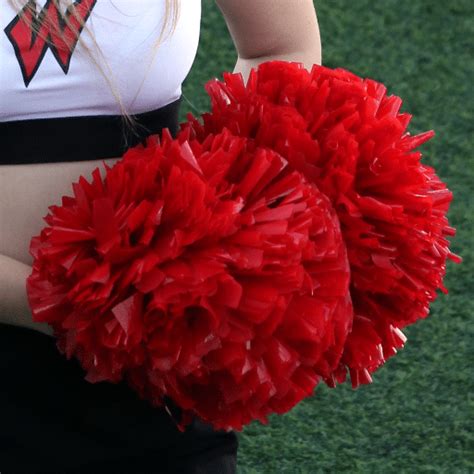 Unveiling The World Of Pom Poms From Craft Projects To Cheerleading