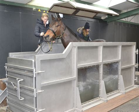 Equine Water Treadmill Dream Barn Treadmill Equines