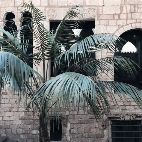 38 vind ik leuks 2 reacties Maï mai conte op Instagram Musée