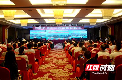 常宁举行招商洽谈会 签约15个项目引资1696亿元