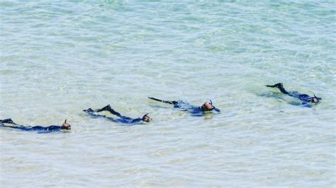 Human Bone Maslin Beach Identified As Jesse Corigliano Quealey The