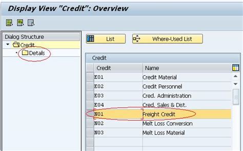 I Learn Sap Extend Credit Key Date For Production Order In Costing