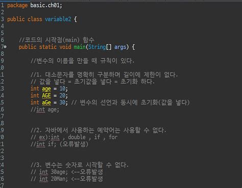 Java Class 6 데이터 타입논리형