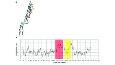In Silico Analysis Of The Cs29544 Flic Protein A Theoretical Download Scientific Diagram