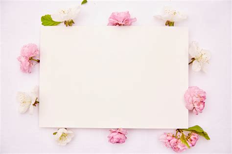 봄 화이트와 핑크 꽃과 문구 카드를 닫습니다 로맨틱 생일 어머니의 날 또는 초대는 카드 개념을 조롱 공간을 복사합니다 위쪽 보기 계절에 대한 스톡 사진 및 기타 이미지