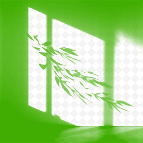 Feather Shadows Light And Airy Soft Fringes Blending Into The Background Bohemian Lightn