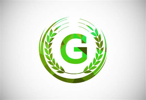 밀 화환이 있는 알파벳 G 기호 다각형 낮은 폴리 유기농 밀 농업 로고 개념 농업 로고 디자인 벡터 템플릿입니다 개념에 대한 스톡 벡터 아트 및 기타 이미지 Istock
