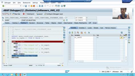 13 Abap Programming Conditional Statements Case Youtube
