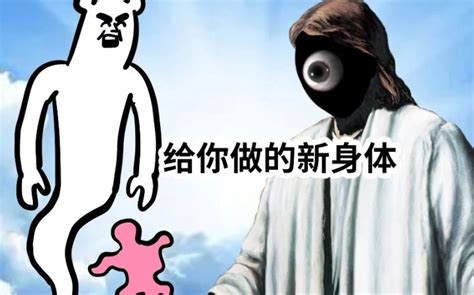 我的新身体 奋斗吧熊卷 奋斗吧熊卷 哔哩哔哩视频