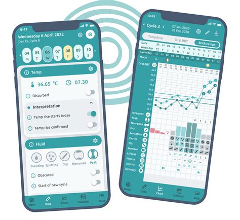 Phase Fertility Natural Contraception And Conception With The Sympto