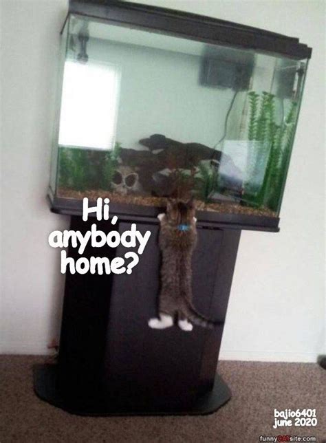 Top 25 Memes Of The Week Cheezburger Users Edition 149 Funny