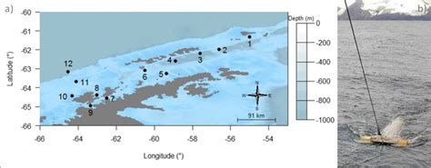 Plastics In Sea Surface Waters Around The Antarctic Peninsula