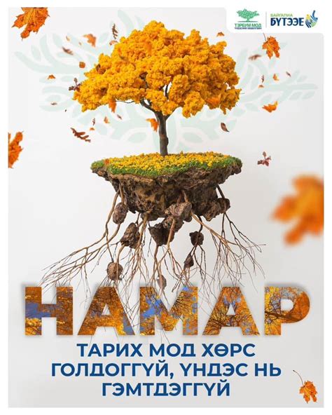 Булган сум Тэрбум Мод”🌲🌲🌲 Facebook