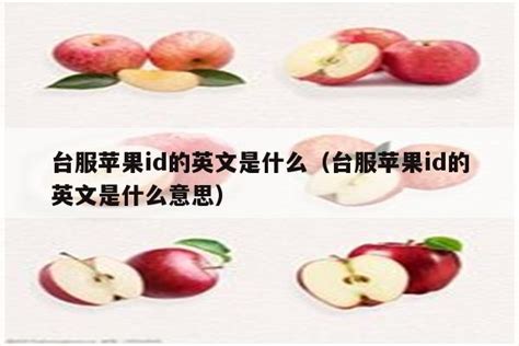 台服苹果id的英文是什么（台服苹果id的英文是什么意思） 台湾苹果id 苹果铺
