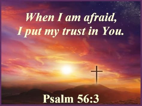 When I Am Afraid I Will Put My Trust In You Psalm 563 Mission