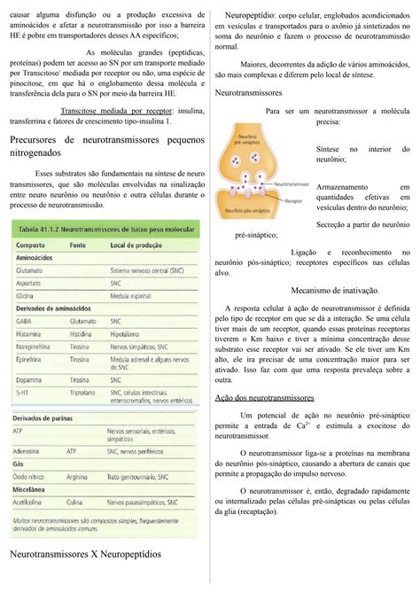 SOLUTION Metabolismo Do Sistema Nervoso Studypool