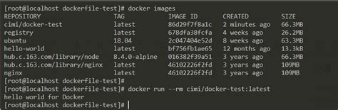 Docker使用 Dockerfile文件配置及构建 《docker学习笔记》 极客文档