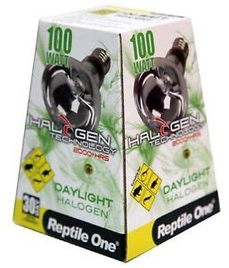 Reptile One Daylight Halogen W Pets Warehouse Penrith