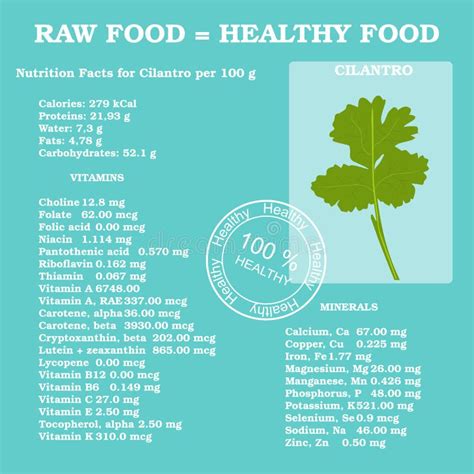 Detailed Pregnancy Nutrition Infographic Stock Vector Illustration Of