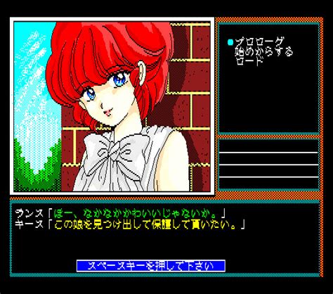 Rance Hikari O Motomete Vndb