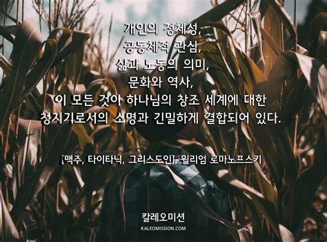 칼레오미션 하나님은 처음부터 인간에게 창조 세계에 대한 청지기직을 맡기셨다 이러한 책임성은 하나님의 세계 안에서 인간의 위치를 이해하는 데 매우 중요하다 개인의