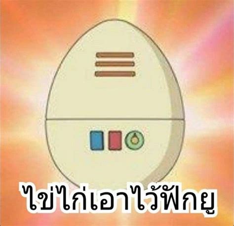 แมววของมม on Twitter RT iTakkung แลวกชอบมาขำกบอะไรแบบน