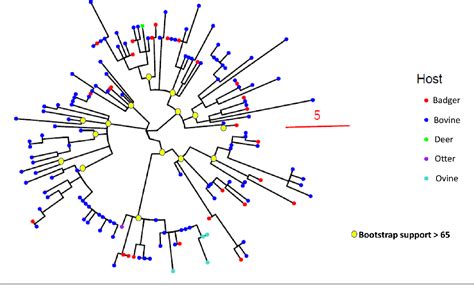 Figure 1 From Whole Genome Sequencing In Routine Mycobacterium Bovis