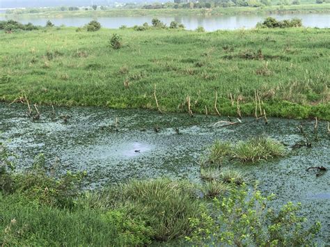 Gwn 우주는 지구 모든 생물들에게 새 생명탄생에 매우 미세 조정되어 있다 우주는 지구 모든 생물들의 새 생명탄생에 매우 미세조정 되어 있다 각각의 식물들은 유전자를