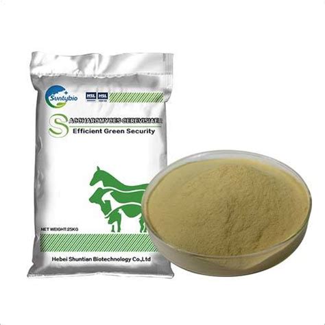 Saccharomyces Cerevisiae Powder Manufacturer Saccharomyces Cerevisiae