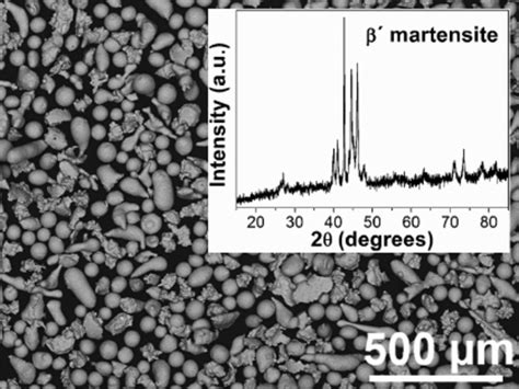 Sem Micrographs Of A Rod Produced By Slm A Cross Section Of The Rod