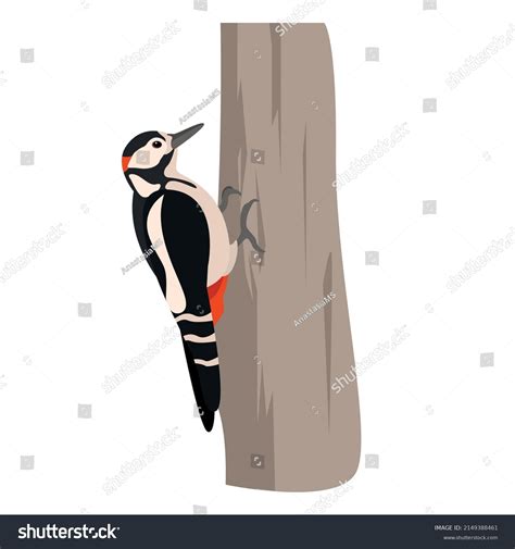 Birds Stree Vector Illustration Art Stock Vector Royalty Free