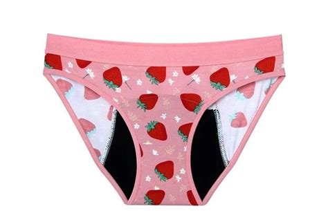 Strawberry Crush Print Period Panty