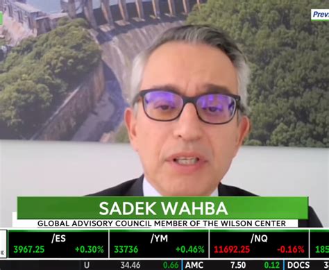 Sadek Wahba Wilson Center