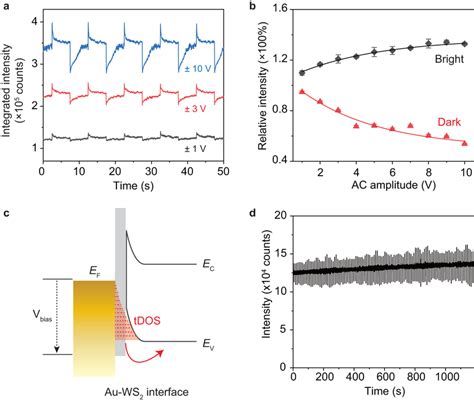 Ac Bias Amplitude Dependent Excitonic Modulation A Dynamics Of