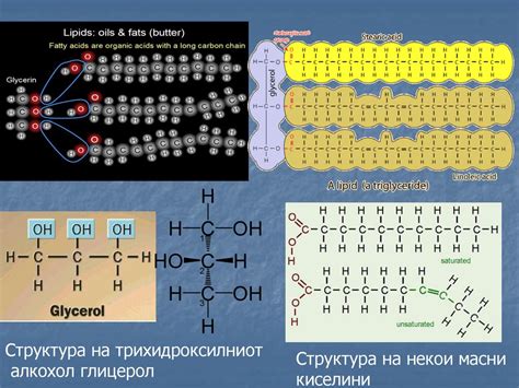 ЛИПИДИ Масти и масла Ppt Download