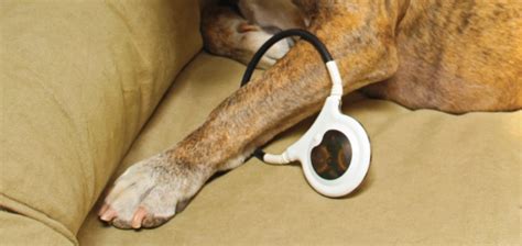 Assisi Loop® Rebound Vet Products